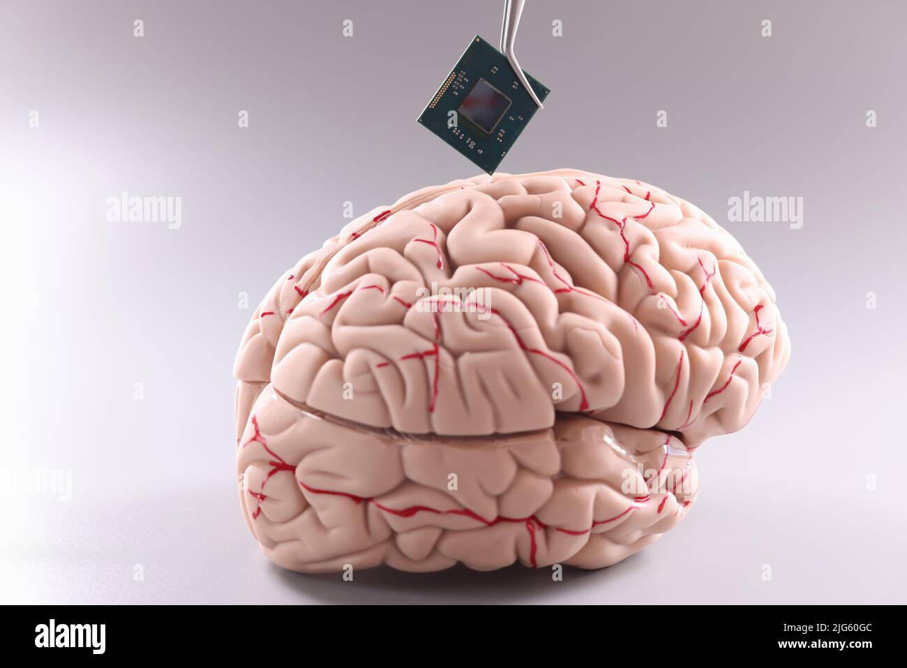 Anatomy of human brain with computer chip Stock Photo - Alamy