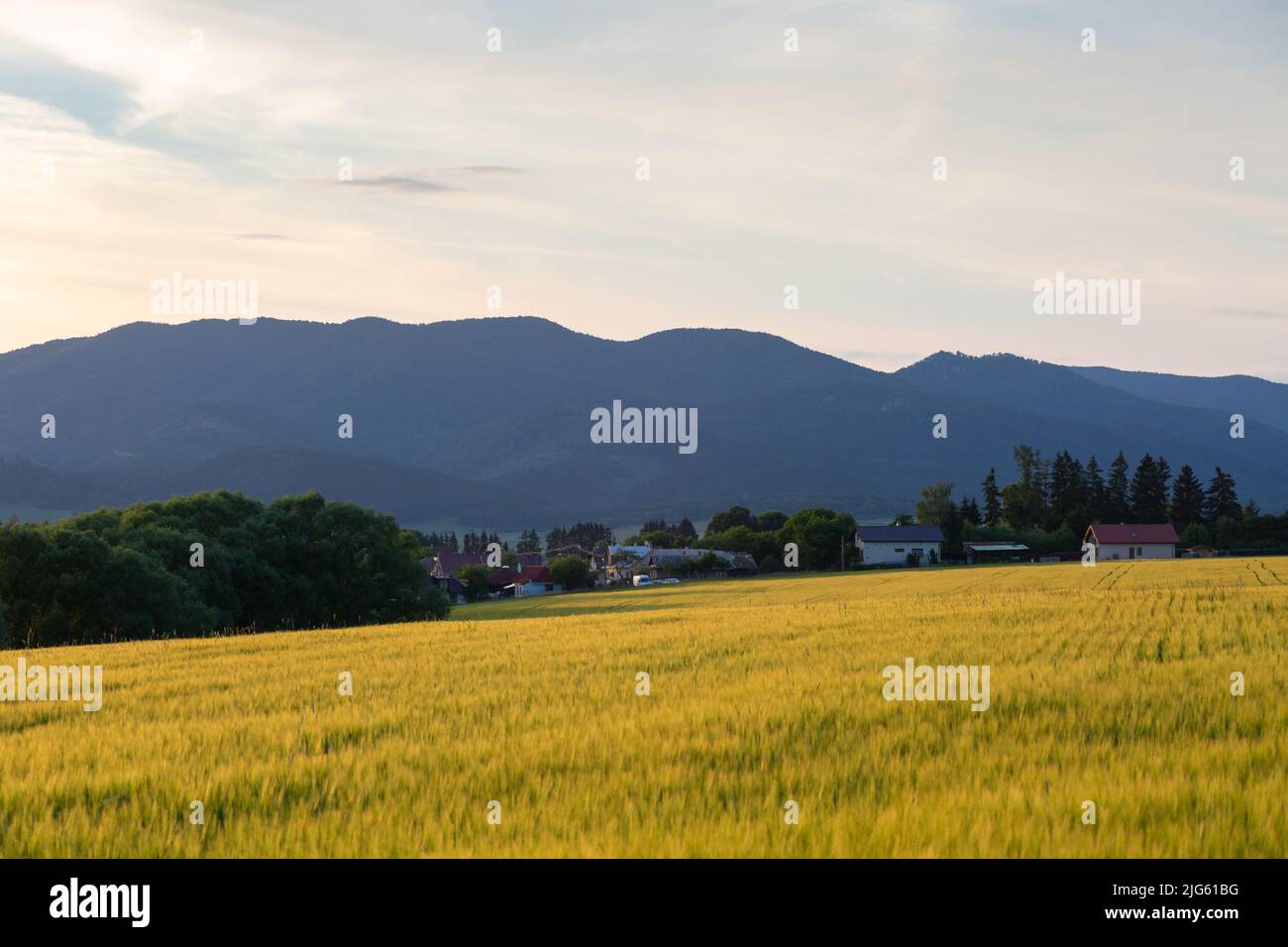 Ziar mountains hi-res stock photography and images - Alamy