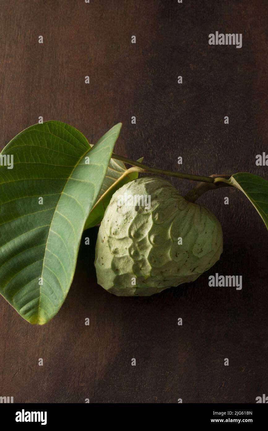 cherimoya, annona cherimoya, cone shaped edible fruit also known as ...