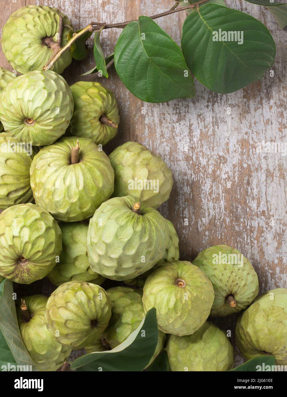 Cone shaped fruit hi-res stock photography and images - Alamy