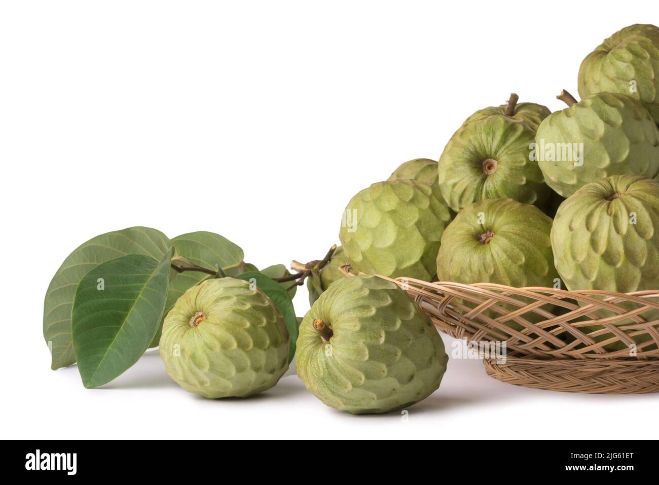 cherimoya, annona cherimoya, cone shaped edible fruit also known as ...