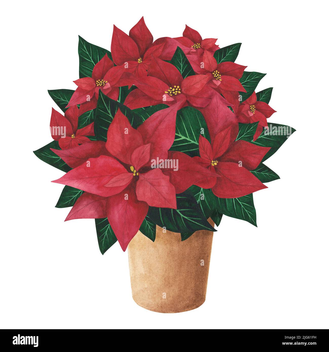 Potted Poinsettia Clip Art