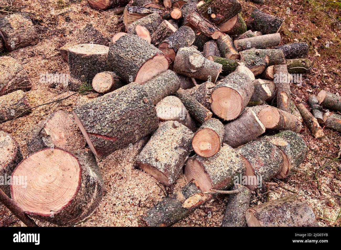 Preparation of firewood for the winter. Stacks of firewood in the ...