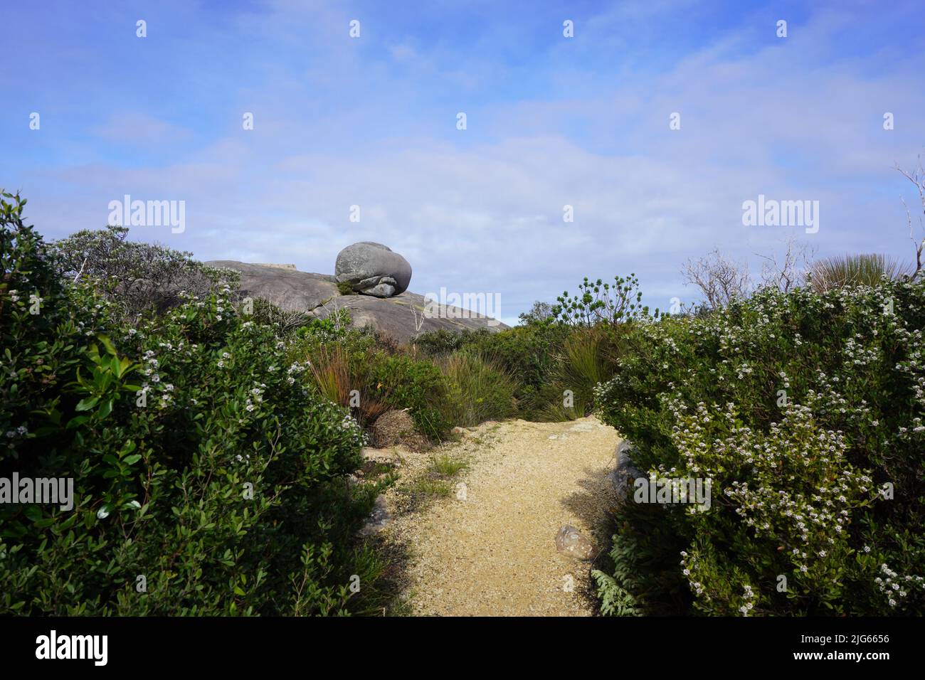 Scenic Walking Trail through a Coastal Landscape Stock Photo - Alamy