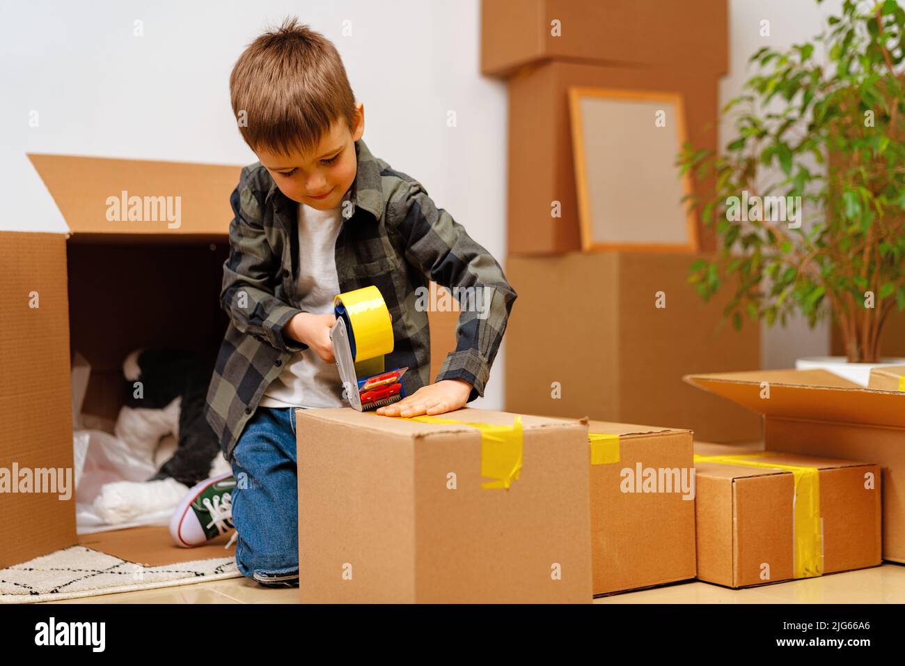 Little boy packing a moving box for a new home Stock Photo - Alamy