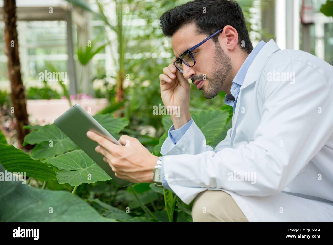 Biologist in lab coat and glasses working in a greenhouse while using a ...