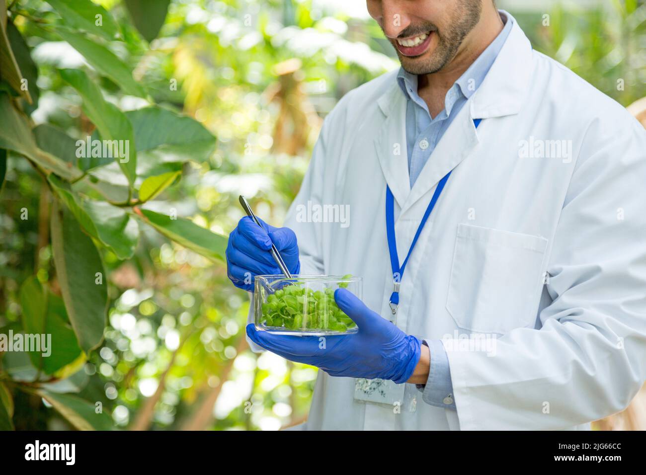Cropped photo o f smiley scientist in lab coat collecting samples of ...