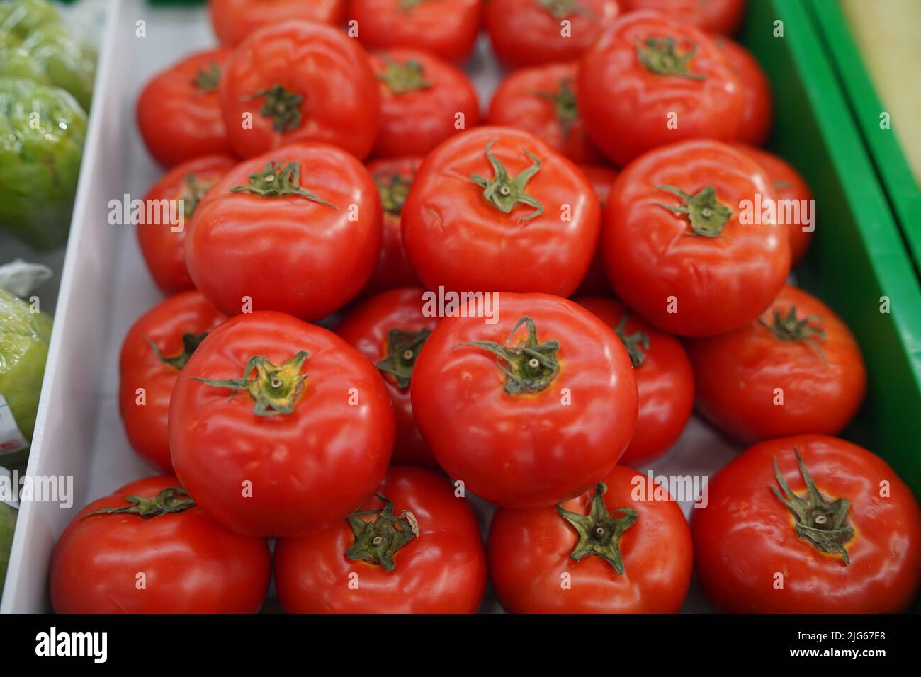 Lots of red ripe tomatoes of different sizes. Harvest of ripe tomatoes ...