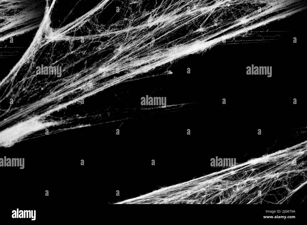 Spiderwebs isolated on black grunge background. Cobweb frame. Texture ...