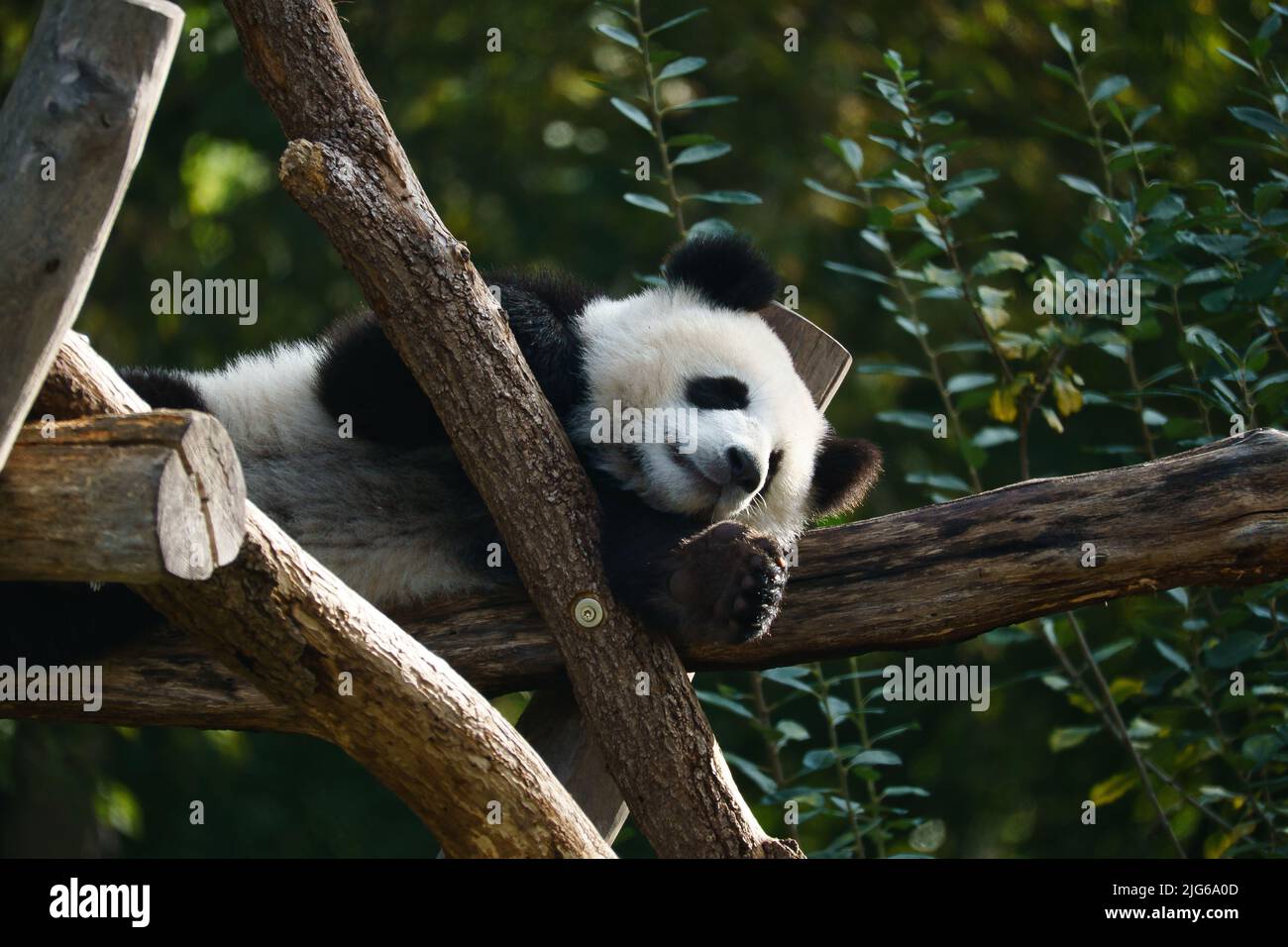 Relaxed china hi-res stock photography and images - Alamy