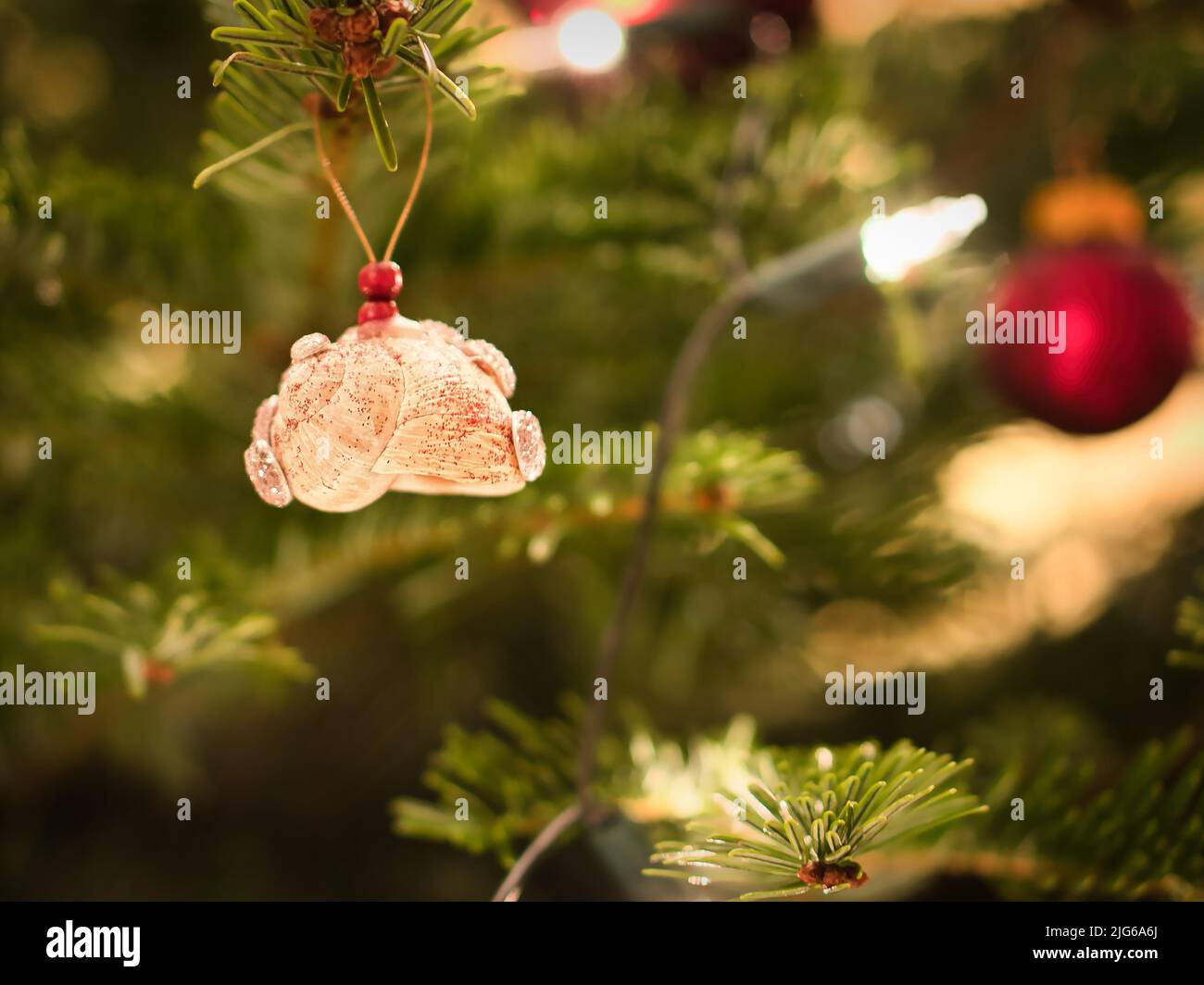 Casing tree hi-res stock photography and images - Alamy