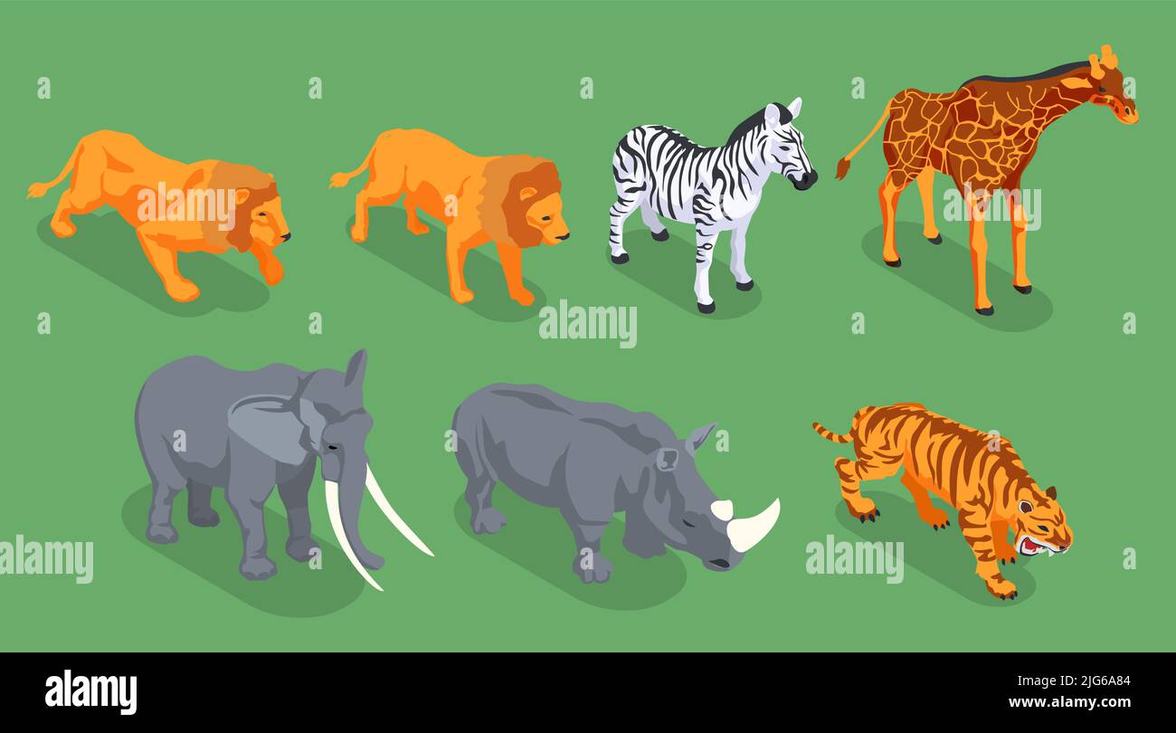 Isometric safari icon set with two lions zebra giraffe rhinoceros ...
