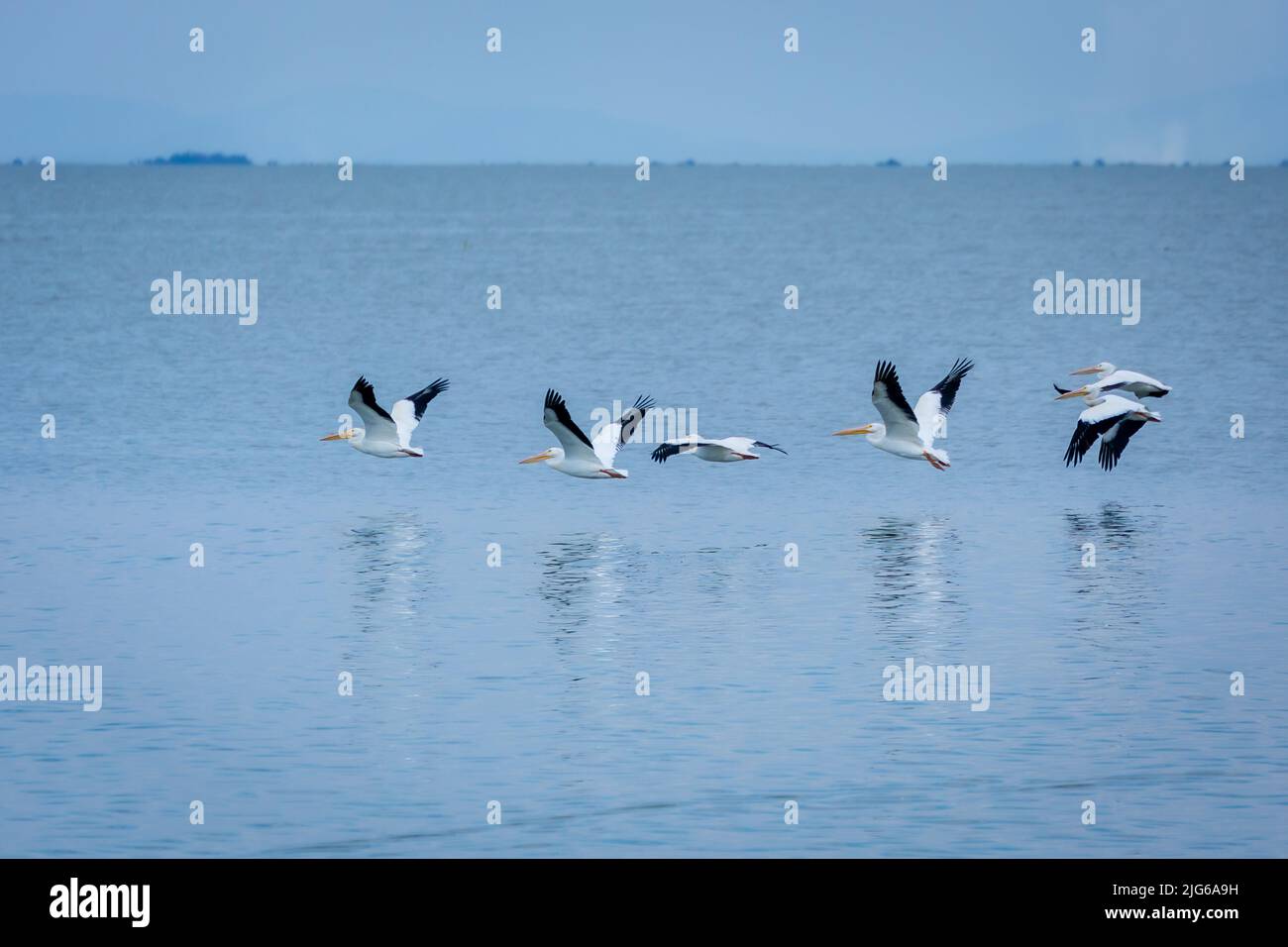 Canadian adventure holidays hi-res stock photography and images - Alamy