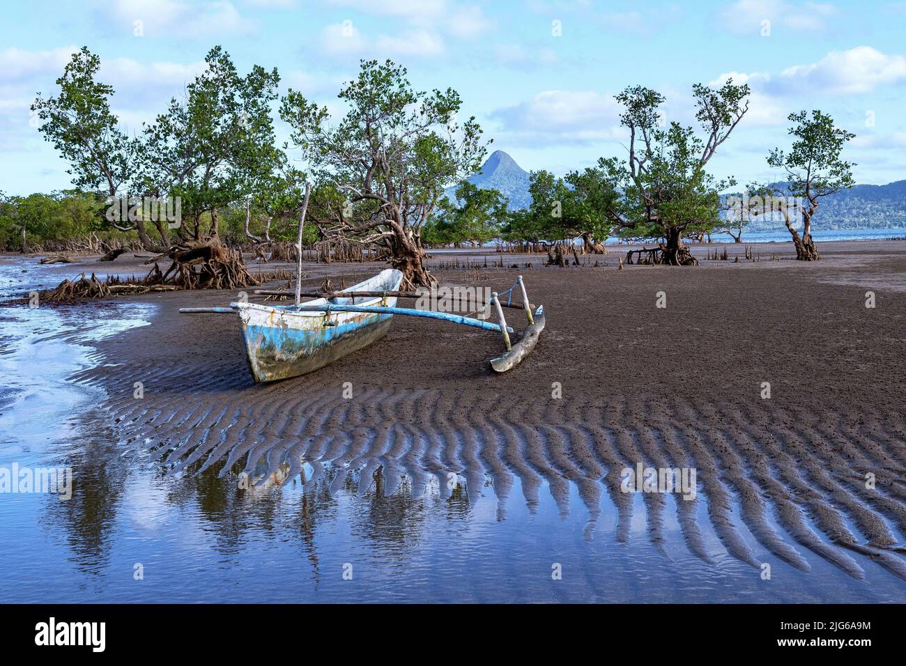 Mangroves of Poroani Bay Mayotte Indian Ocean Stock Photo - Alamy