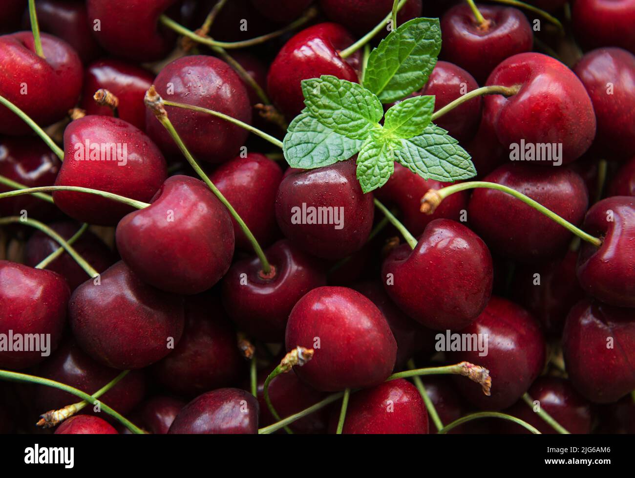 Fresh red cherries fruit as a natural food background Stock Photo - Alamy