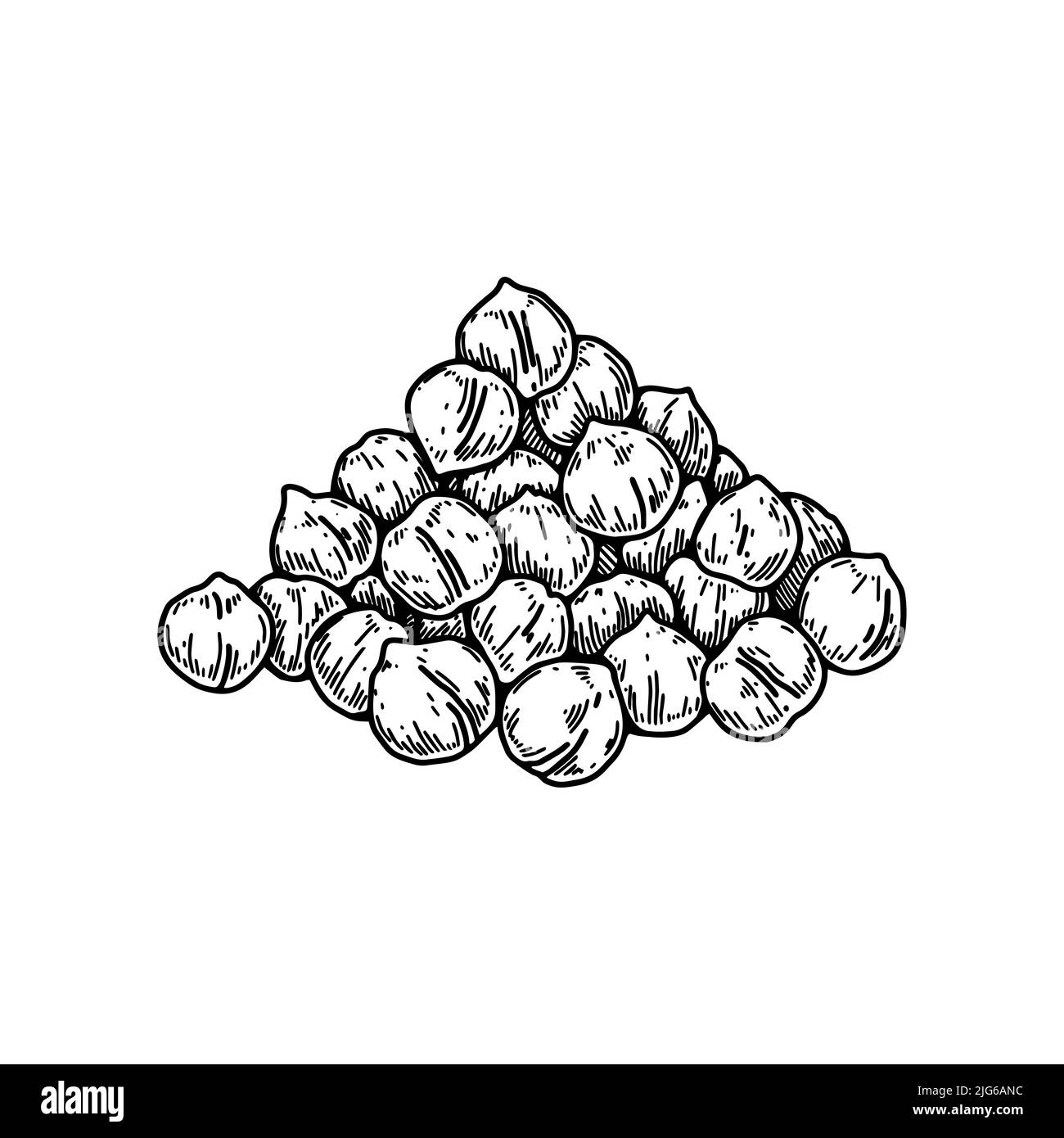 Hand drawn handful of chickpeas beans. Botany vector illustration in ...