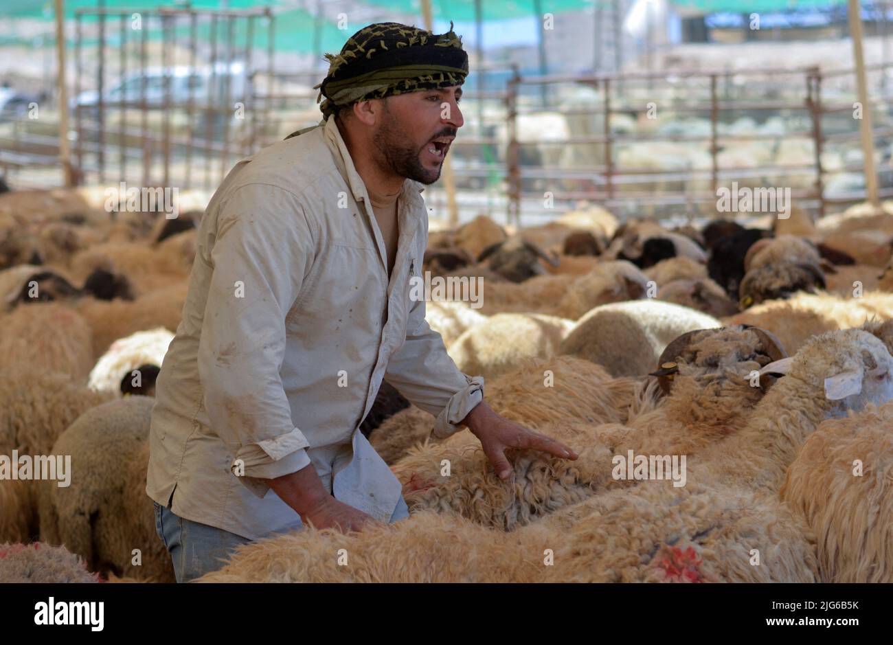 Sale of sacrificial animals hi-res stock photography and images - Alamy