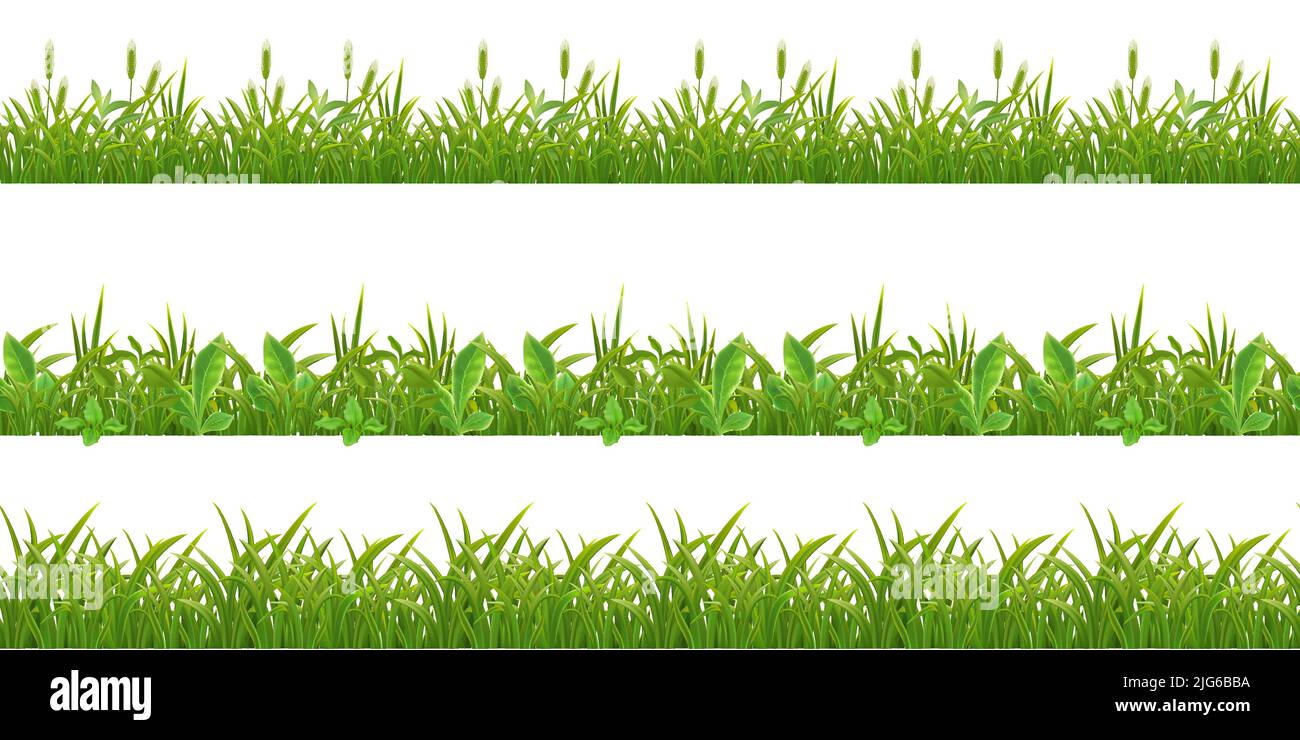 Perennial ground cover plant Stock Vector Images - Alamy