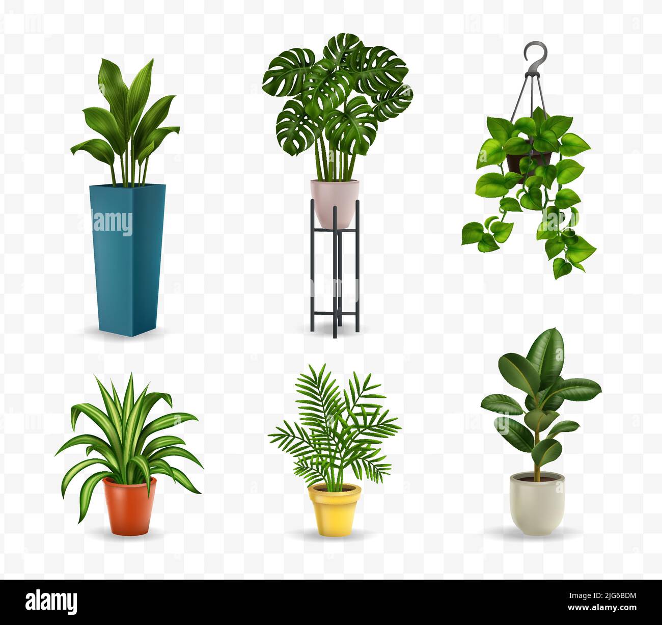 Isolated images of various house plants in pots on a transparent ...
