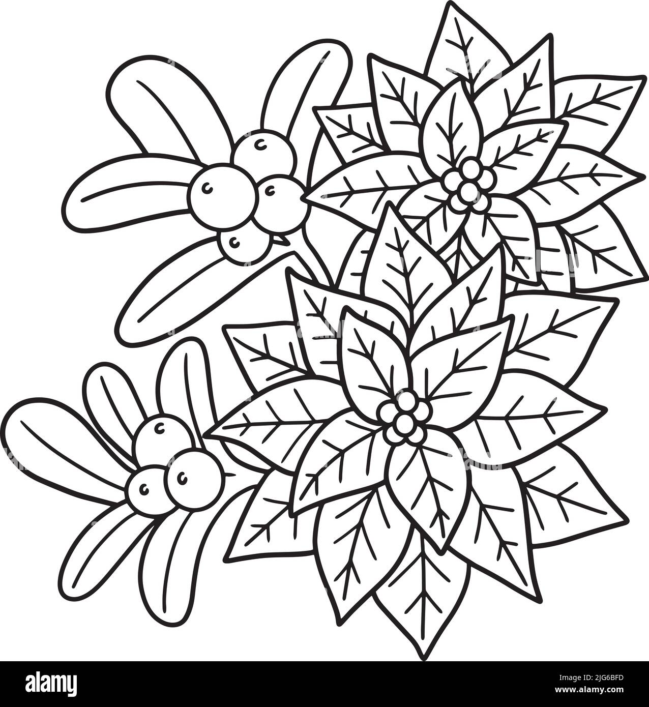 Christmas Poinsettia Isolated Coloring Page Stock Vector Image & Art ...
