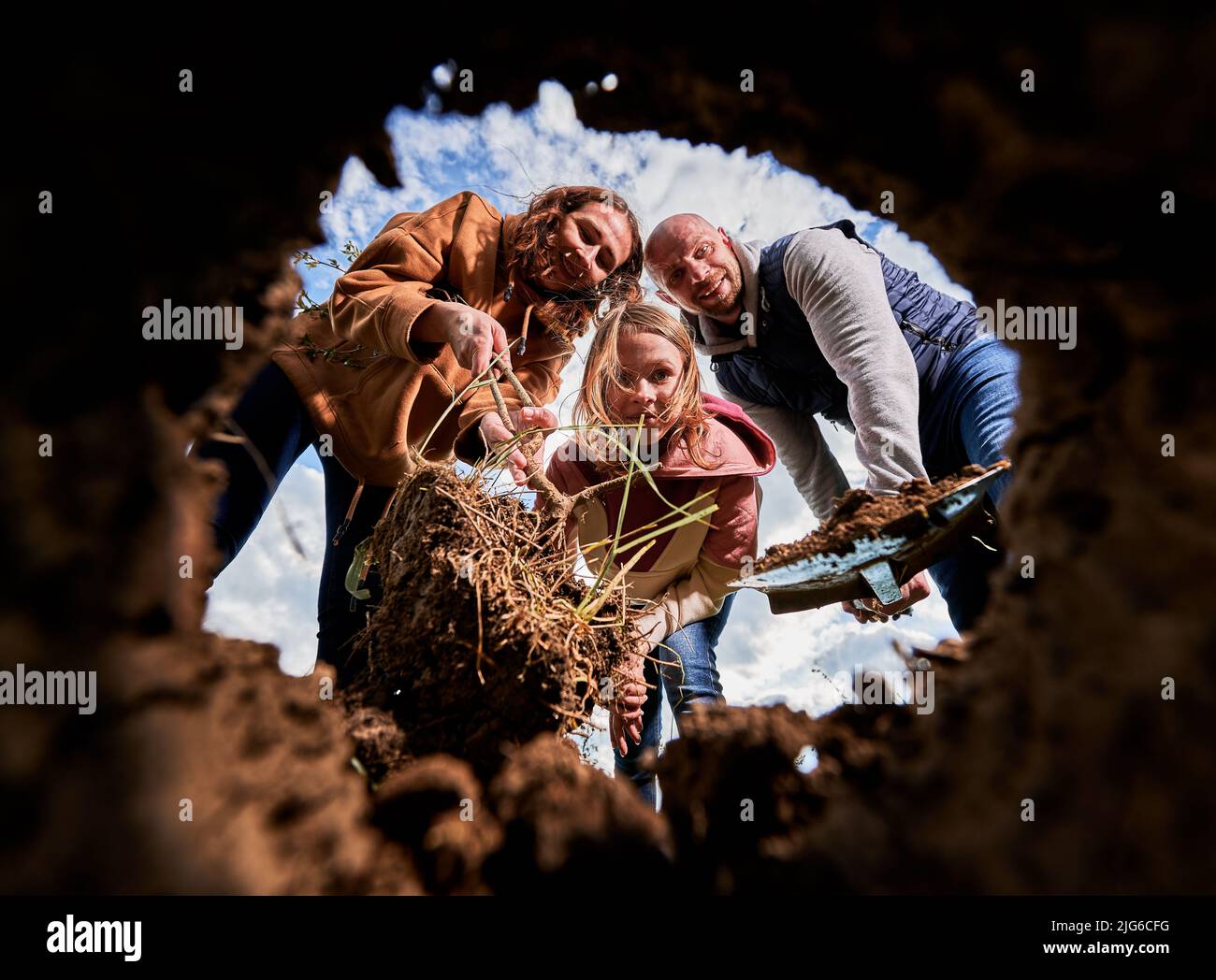 Happy family planting tree sapling all together. Two adults, holding ...