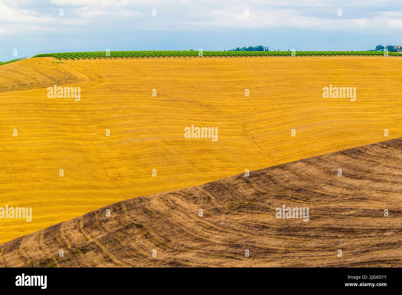 Italy Tuscany - Environs of Torrenieri Stock Photo - Alamy