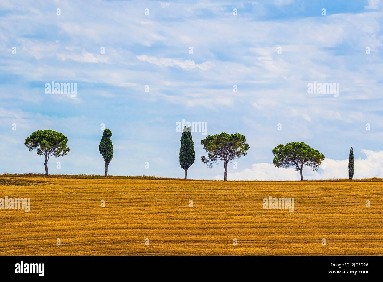 Italy Tuscany - Environs of Torrenieri Stock Photo - Alamy