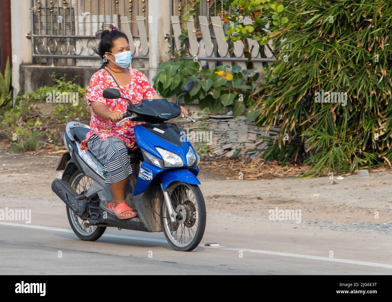 THAILAND, APR 09 2022, A woman with a face mask rides a motorcycle on a ...