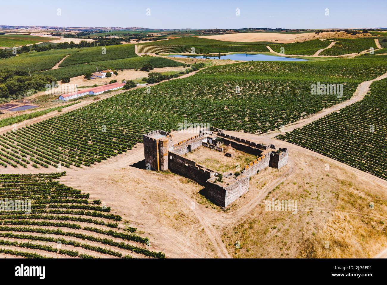 Castle of Valongo in Evora district, surrounded with vineyards in ...
