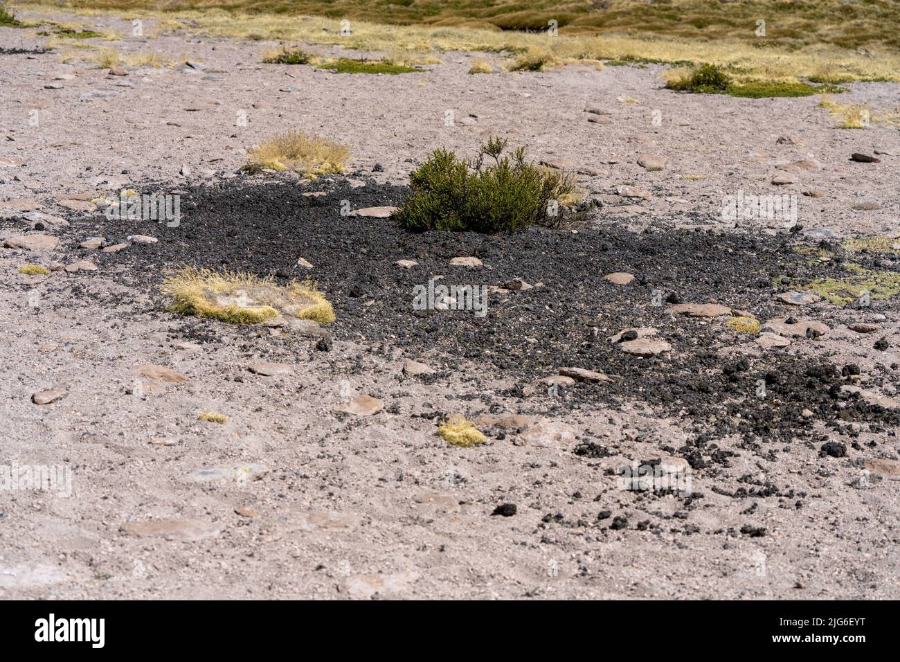 Communal dung pile hi-res stock photography and images - Alamy