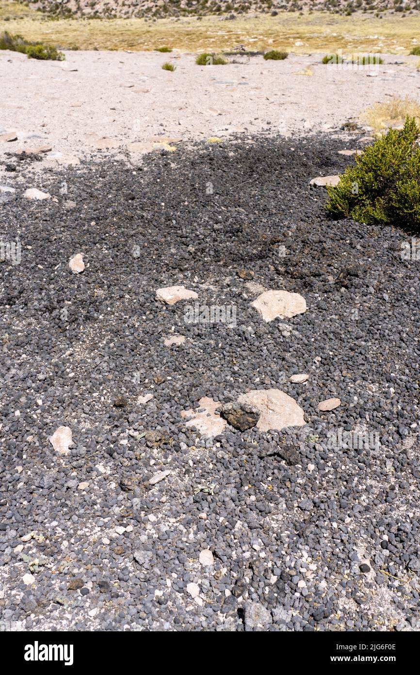 Communal dung pile hi-res stock photography and images - Alamy