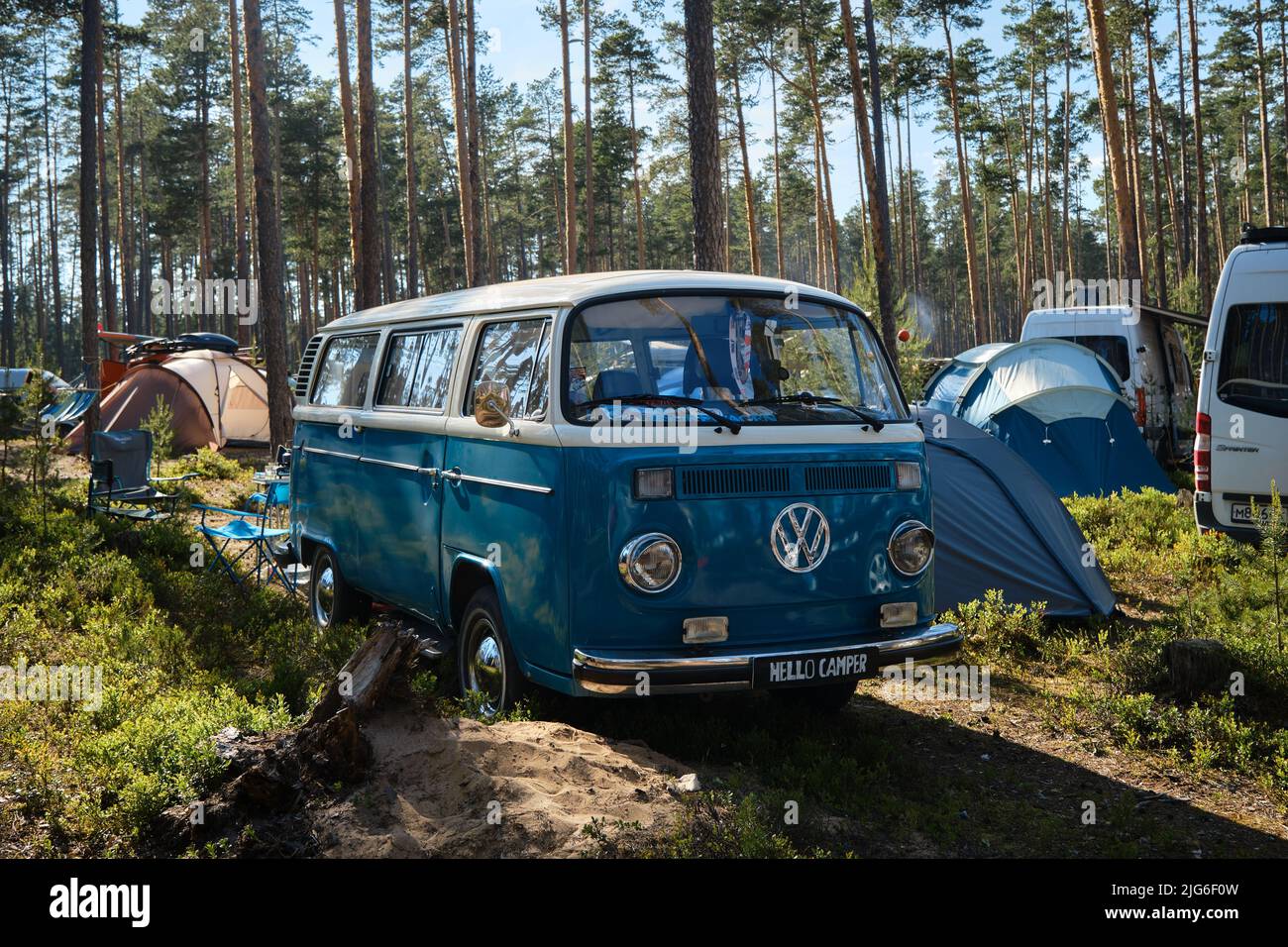Festival mobile homes in coniferous forest. Camping for tents and cars ...