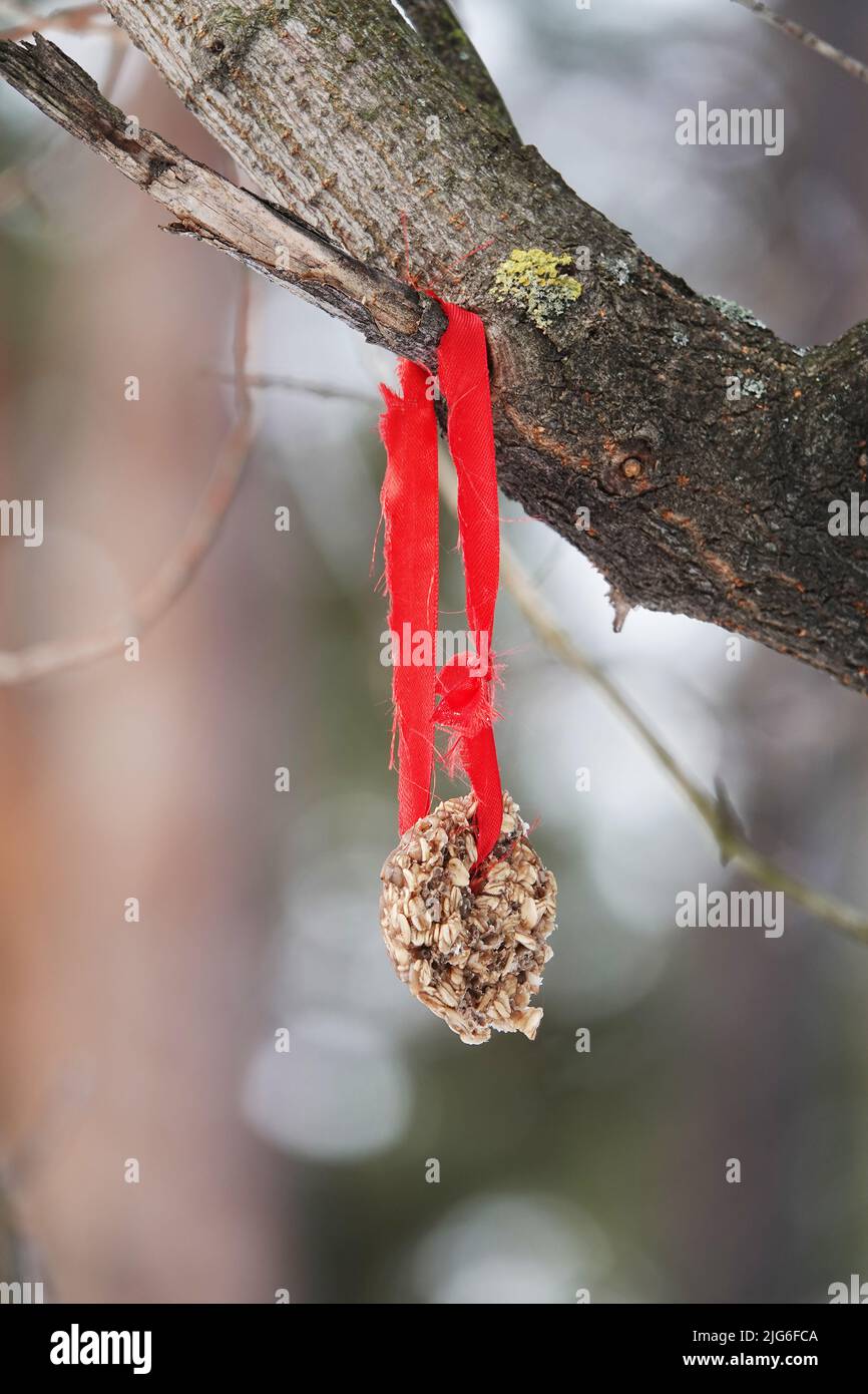 Seeds left for birds hi-res stock photography and images - Alamy