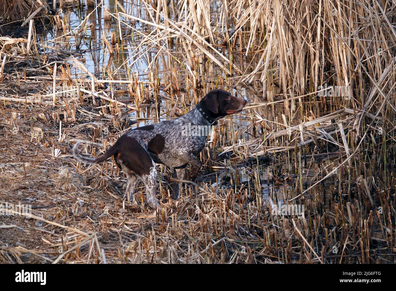 Prey for ukraine hi-res stock photography and images - Alamy