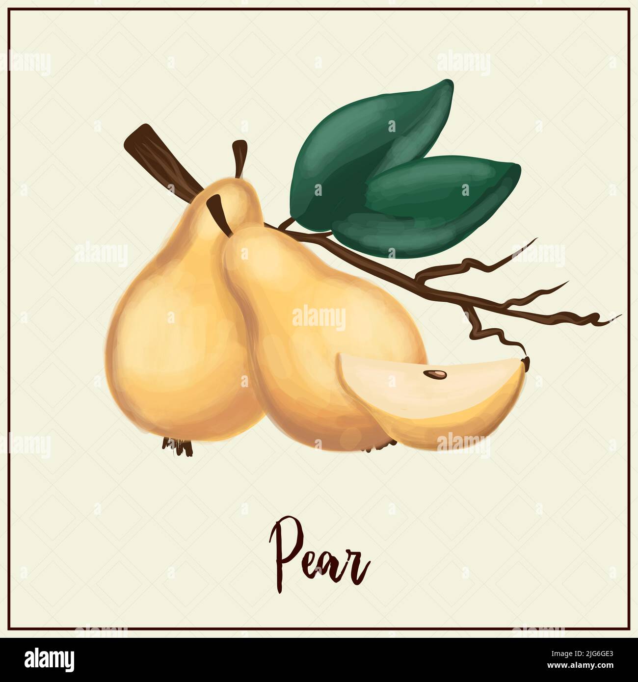 Fruit card. Pears. Drawn yellow pears. Vector illustration. Farm ...