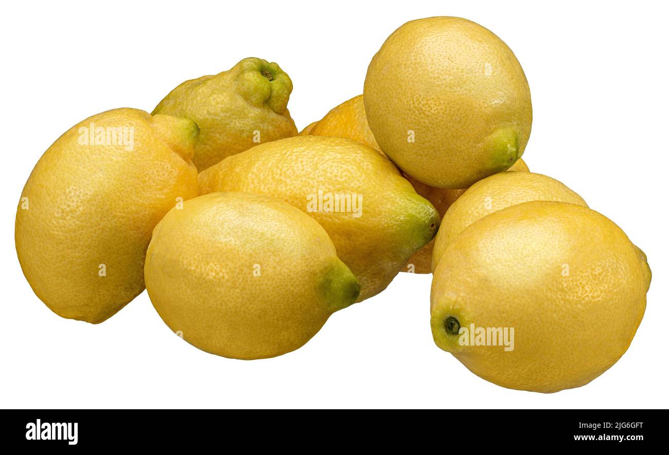 Group of lemons in a heap isolated without background Stock Photo - Alamy