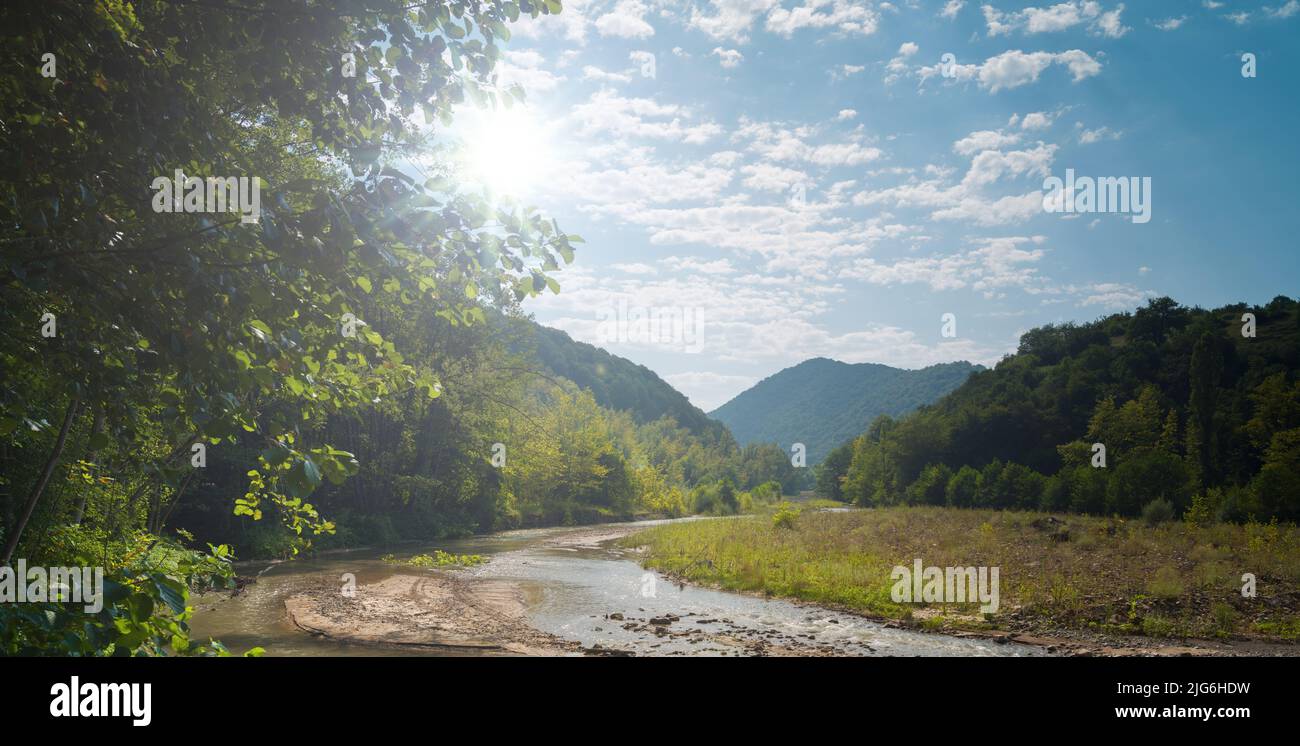 River and forests in the middle of the day. The sun is filtering ...