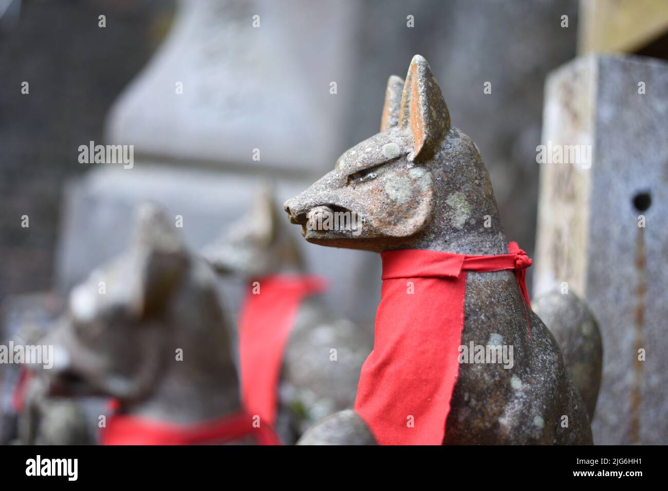 fox statues guarding the forest shrine Stock Photo - Alamy