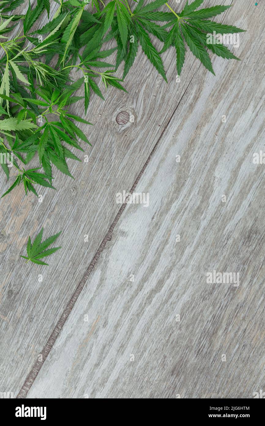 Marijuana frame border hi-res stock photography and images - Alamy