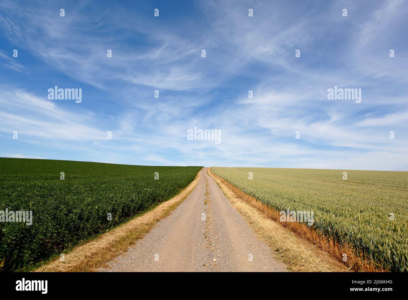 Factory farming abstract hi-res stock photography and images - Alamy