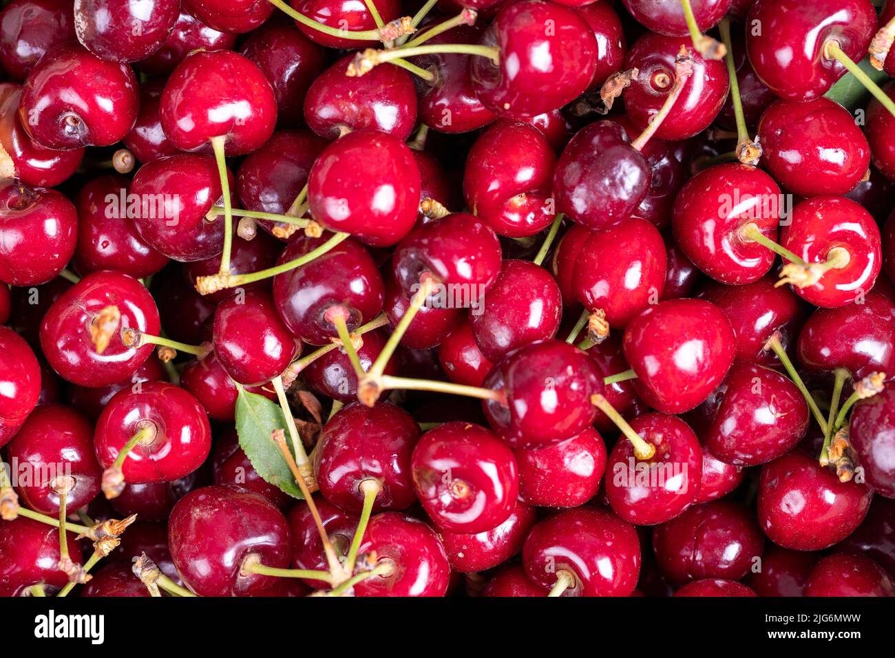 Fresh cherry. Close-up cherries in bulk. cherry background Stock Photo ...