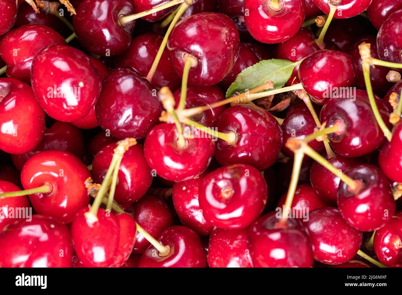 Fresh cherry. Close-up cherries in bulk. cherry background Stock Photo ...