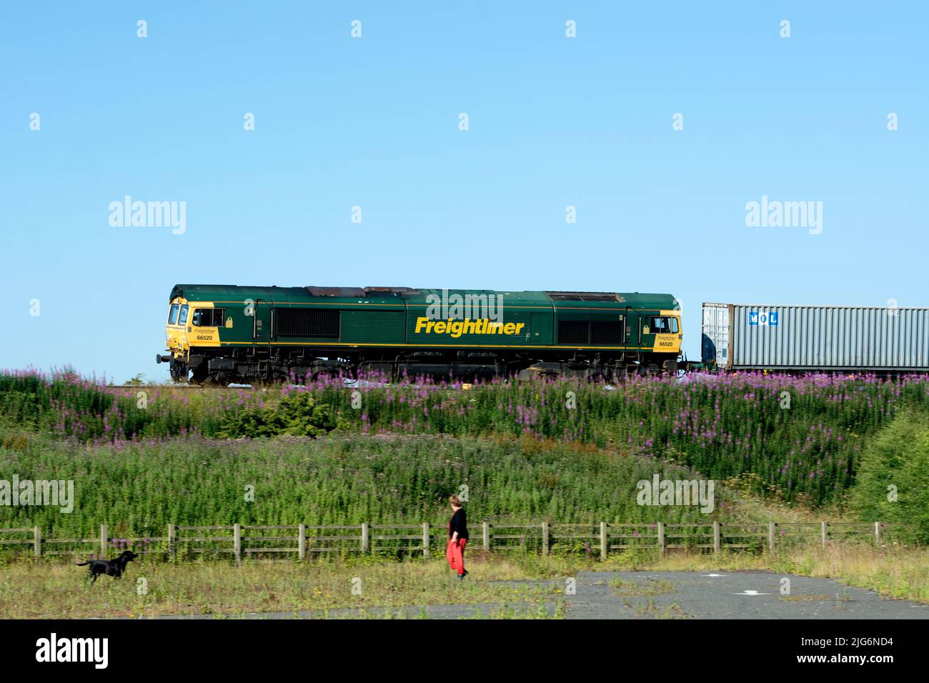 Freightliner class 66 diesel locomotive No. 66520 pulling a ...
