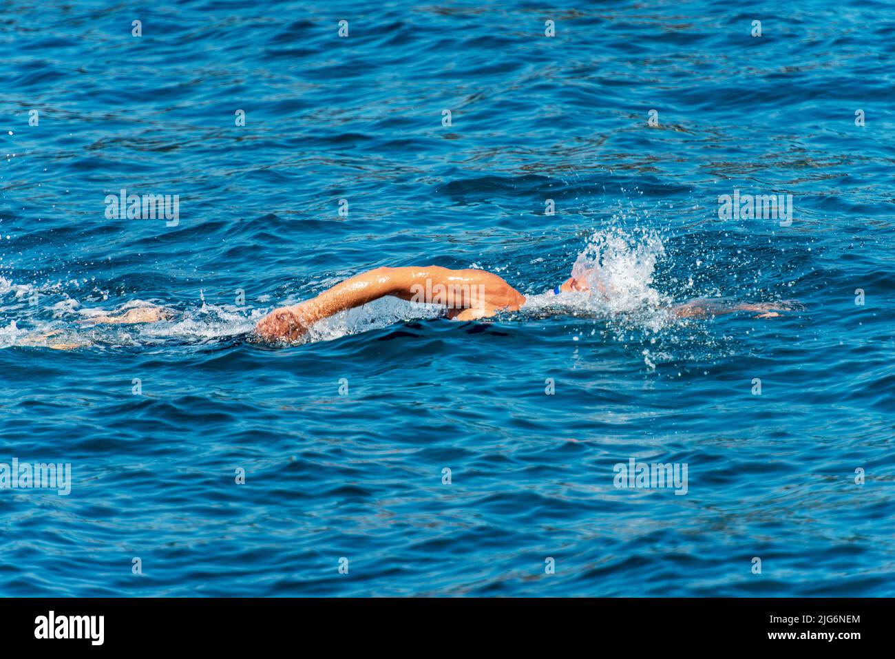 Male freestyle swimmer (front crawl) in the blue waves of the ...
