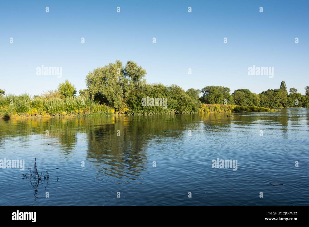 Chiswick Eyot in the River Thames in southwest London, England, UK ...