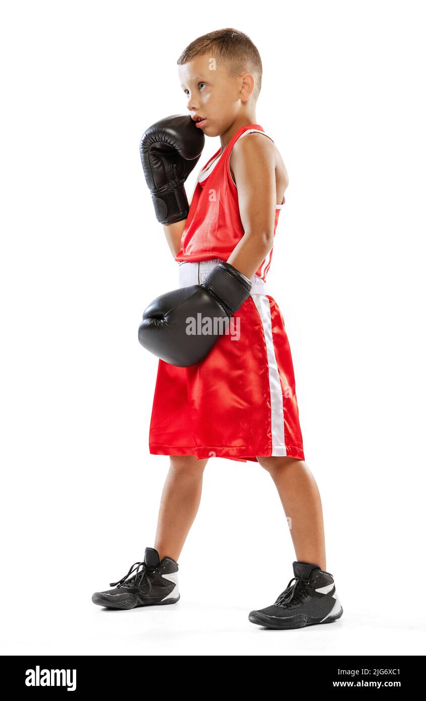 Portrait of kid, young boxer in boxing gloves and red unifprm posing ...