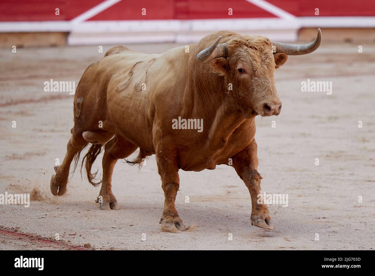 General view during a bullfight at the San Fermin Festival, in Pamplona ...