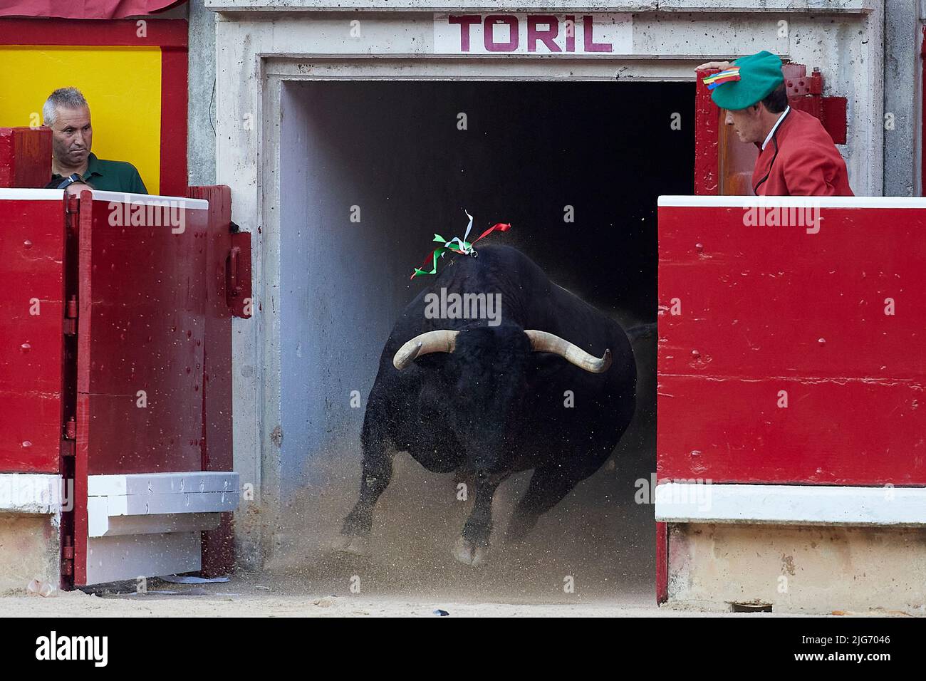 A bull during a bullfight at the San Fermin Festival, in Pamplona ...