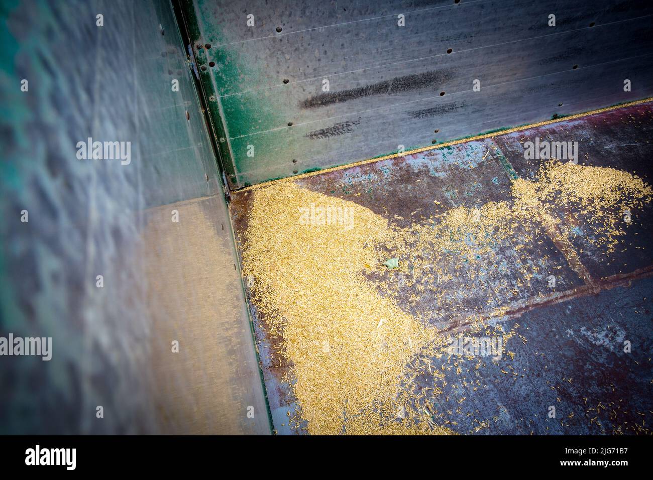 Wheat Leftovers In A Granary. Grain Shortage Due To The Ukraine War And ...