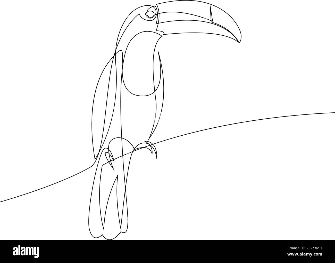 Continuous one line drawing of Tukan bird. Toucan symbol. Logo of the ...